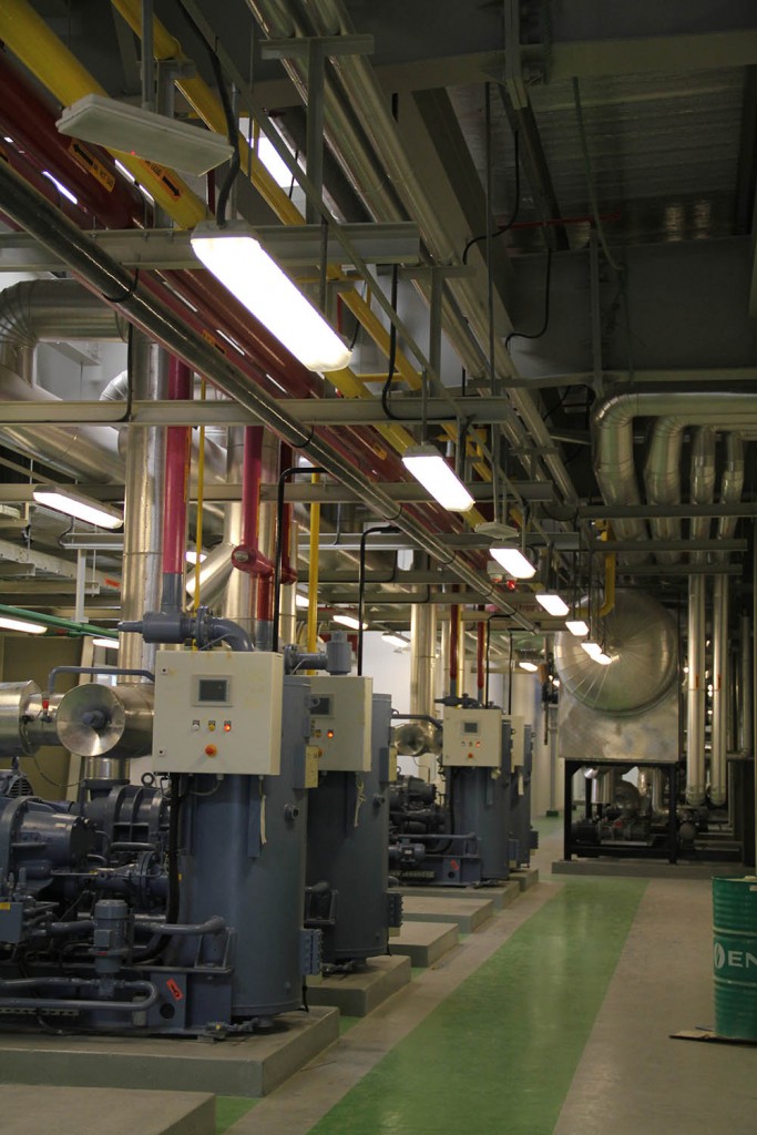 Food Processing & Logistic Center For Farm Fresh L.L.C, Dubai ...